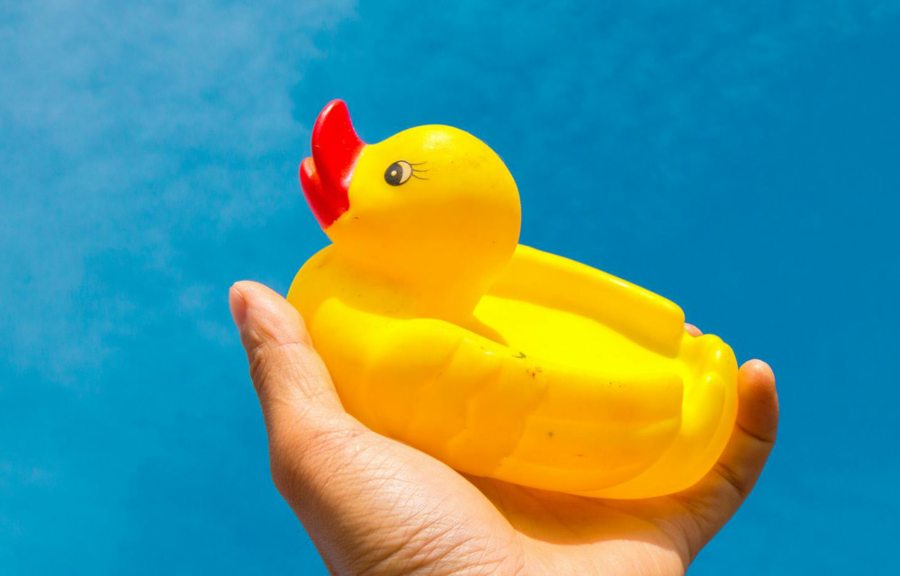 "Samo maknite patku" ili kako mudro provući svoju ideju do kraja